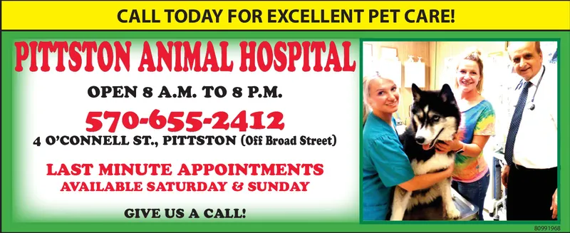 SUNDAY, AUGUST 8, 2021 Ad - Pittston Animal Hospital - The Sunday Dispatch