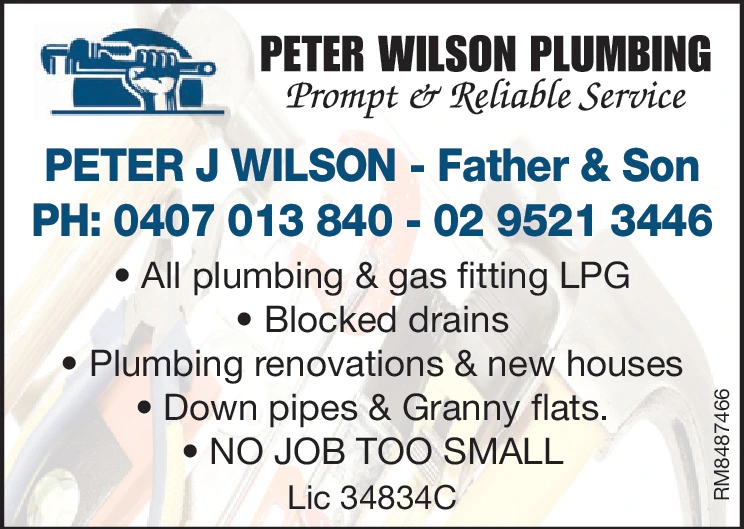 TUESDAY, NOVEMBER 18, 2025 Ad - PETER J WILSON - Father & Son All ...